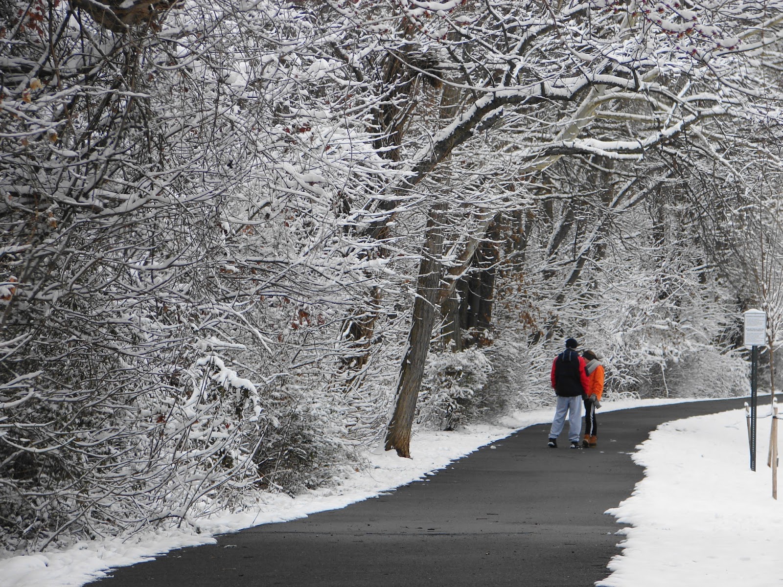 Experience Fredericksburg Va : Snow Covered Homes in Historic ...