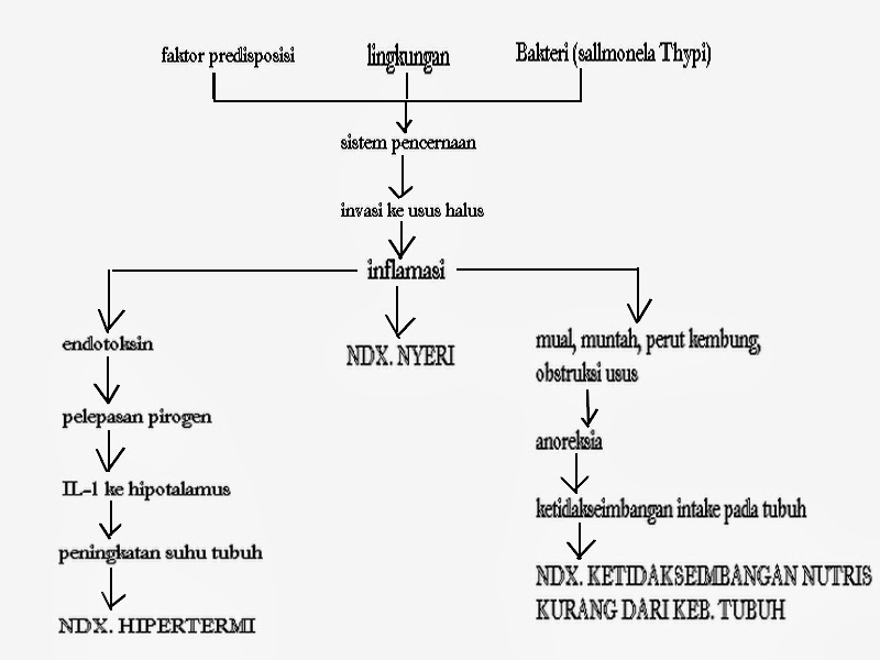MeyokaFransPelata pung Blog: ASKEP DEMAM THYPOID (NANDA, NOC, NIC)