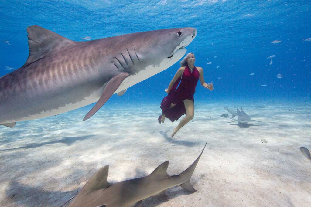El Rincón de un Malagueño: JEREMY FARRIS -1969, fotógrafo australiano ...