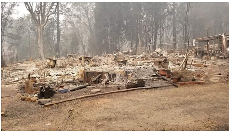 Surviving The Camp Fire: Our Story