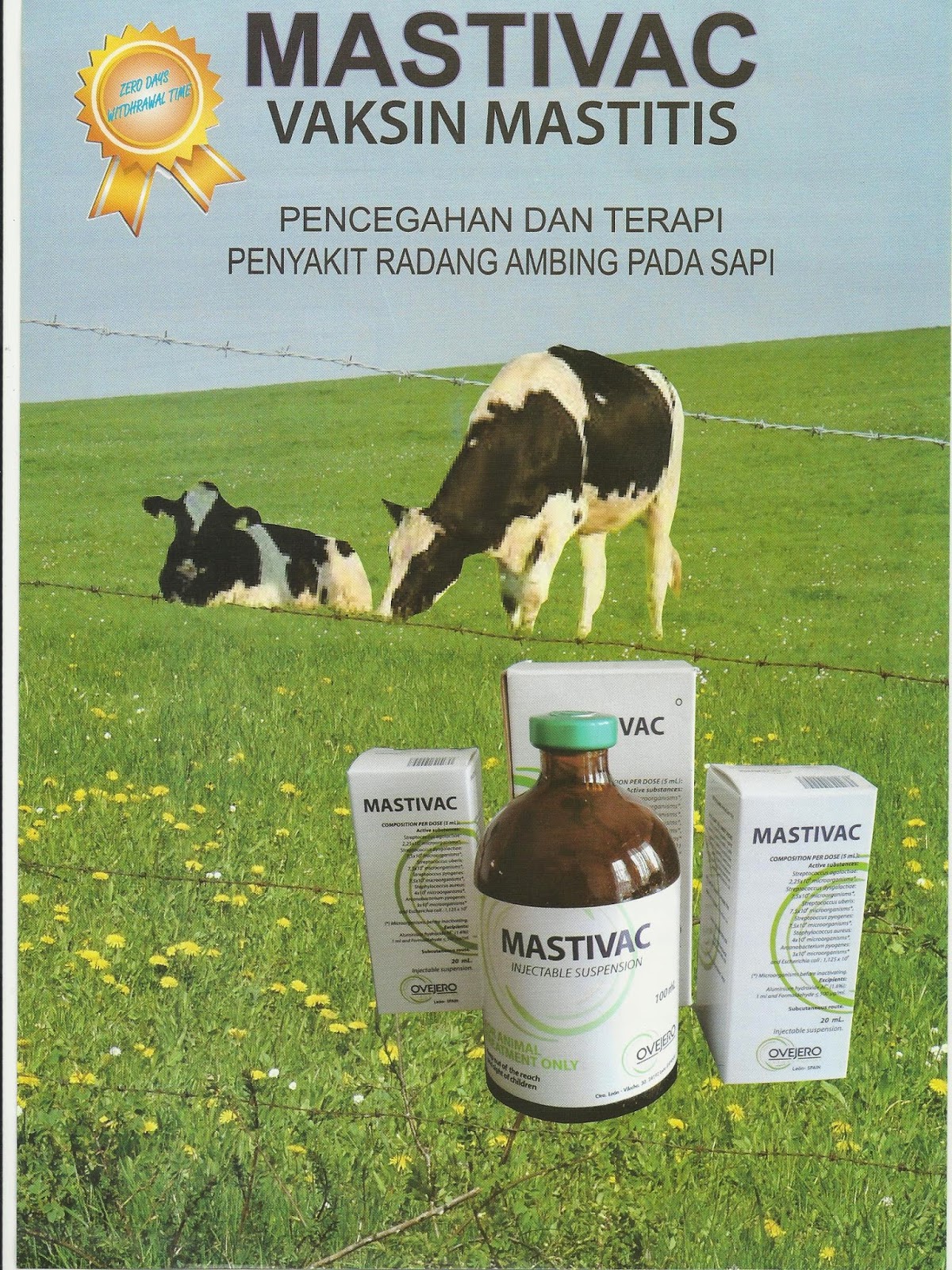 Paeco Agung: MASTIVAC, vaksin mastitis untuk sapi perah