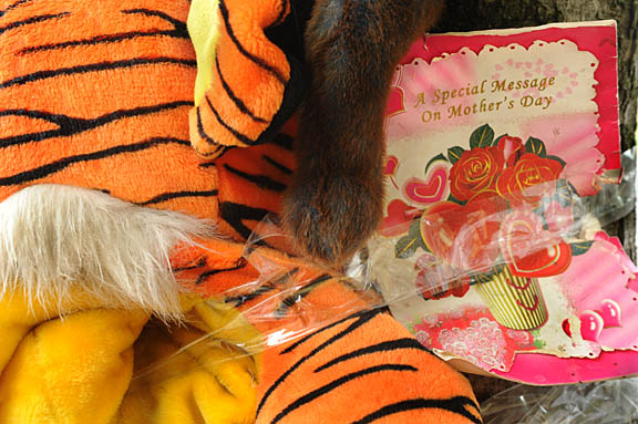 Washington's Other Monuments: Memorial for Myles LeShai McLean / 61st ...