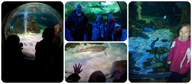 Sea Life Adventure Park | The Mini Mes and Me