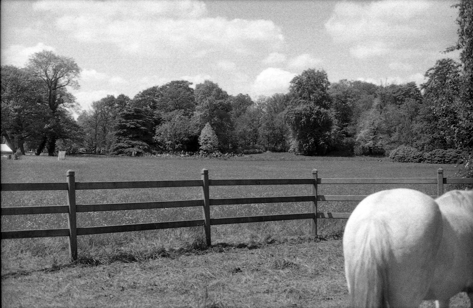 hoolawhoop: muted silver in color