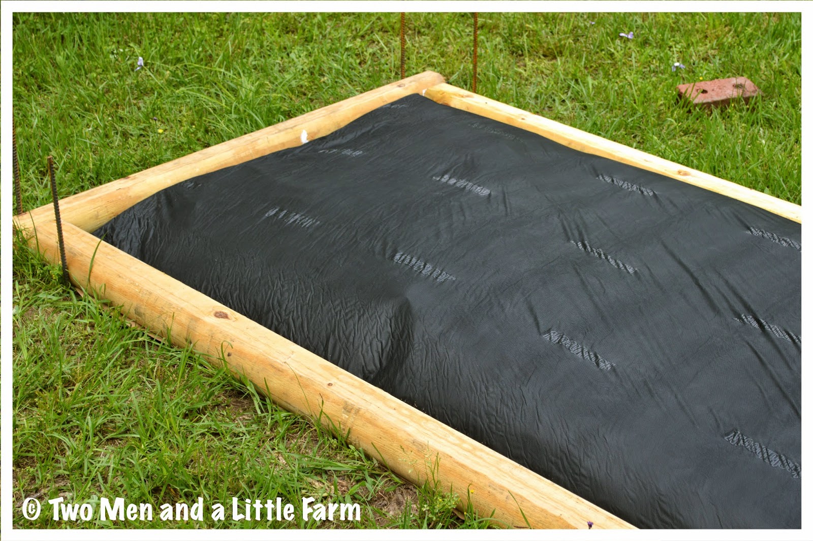 Two Men and a Little Farm: HOW TO CREATE A BEE YARD AND LOCATE HIVES