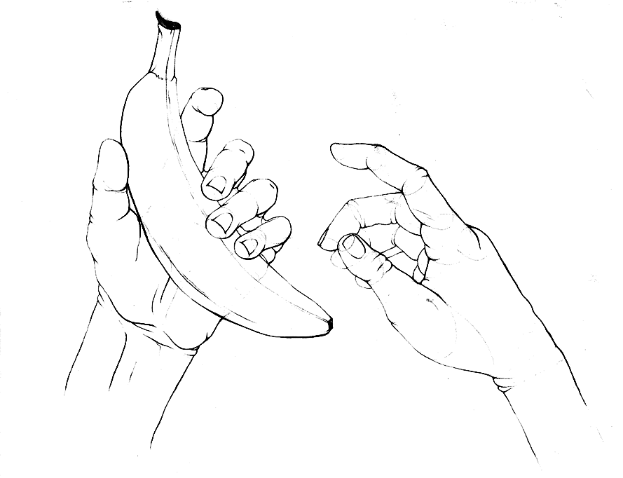 Jess' Art: Animation Portfolio 2013!