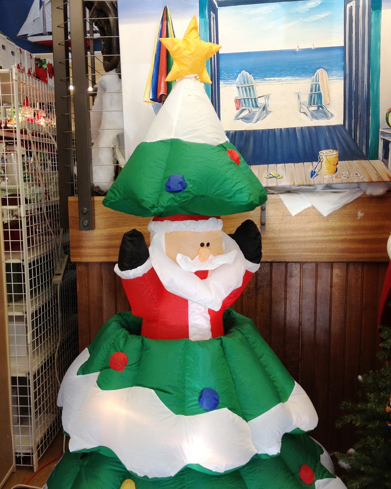 The Wandering Wahoo: Holidays for Dummies