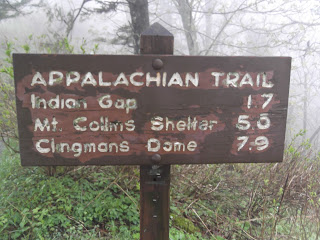 Appalachian Trail Section hiking: Newfound Gap to Silers Bald Shelter ...
