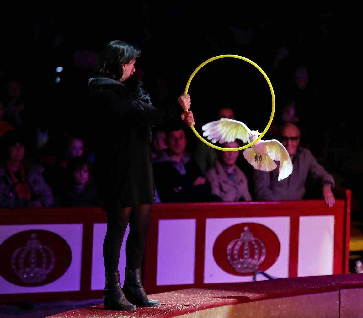 Buckles Blog: From Vincent Manero #13