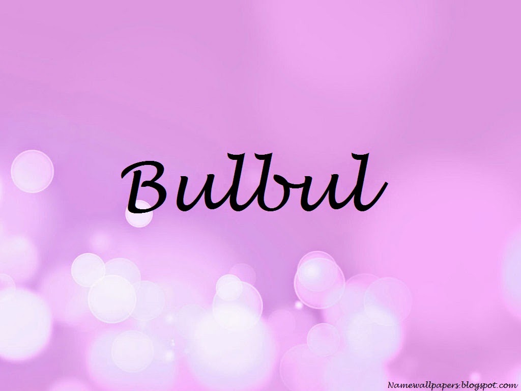 Bulbul Name Wallpapers Bulbul ~ Name Wallpaper Urdu Name Meaning Name ...