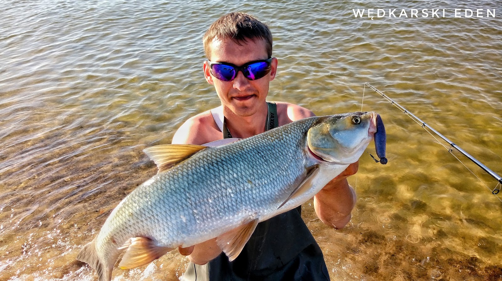 Wędkarski Eden: Realistic Shad – Rękodzieło na sukces.