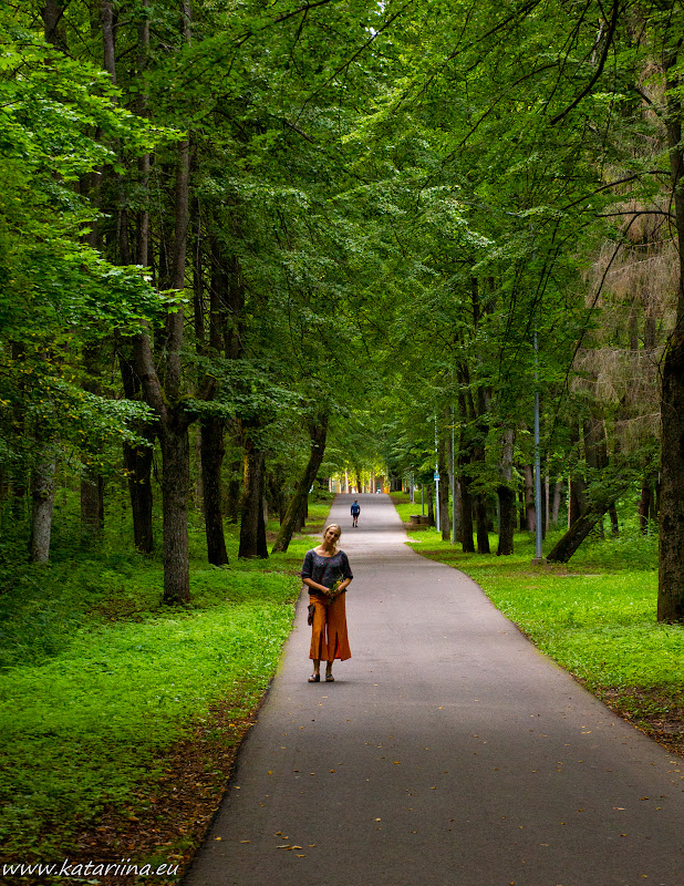 Katariina kudugurmee: Suvest sügisesse kudum.