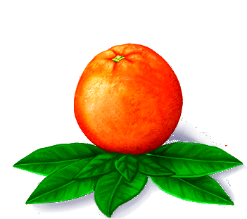 IMAGENSNET: GIFS DE FRUTAS E LEGUMES