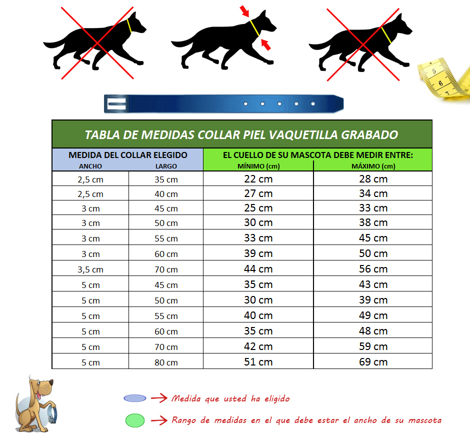 como saber cual es el collar ideal ~ Amigo Perroo