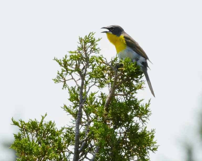 Journeys With Judy: Badlands National Park South Dakota