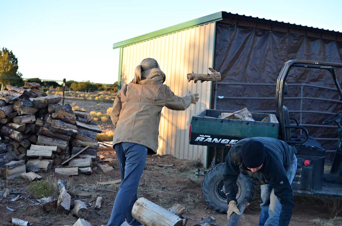 The 7MSN Ranch: Ranch hands in training