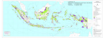 Perpetaan: Pemetaan Dalam Perencanaan Wilayah