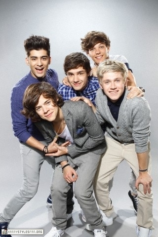 Poland One Direction: Sesja SNL