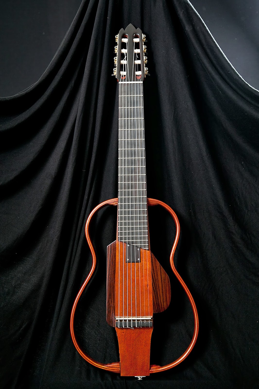 Liutai a Torino: Eight Strings Silent Guitar