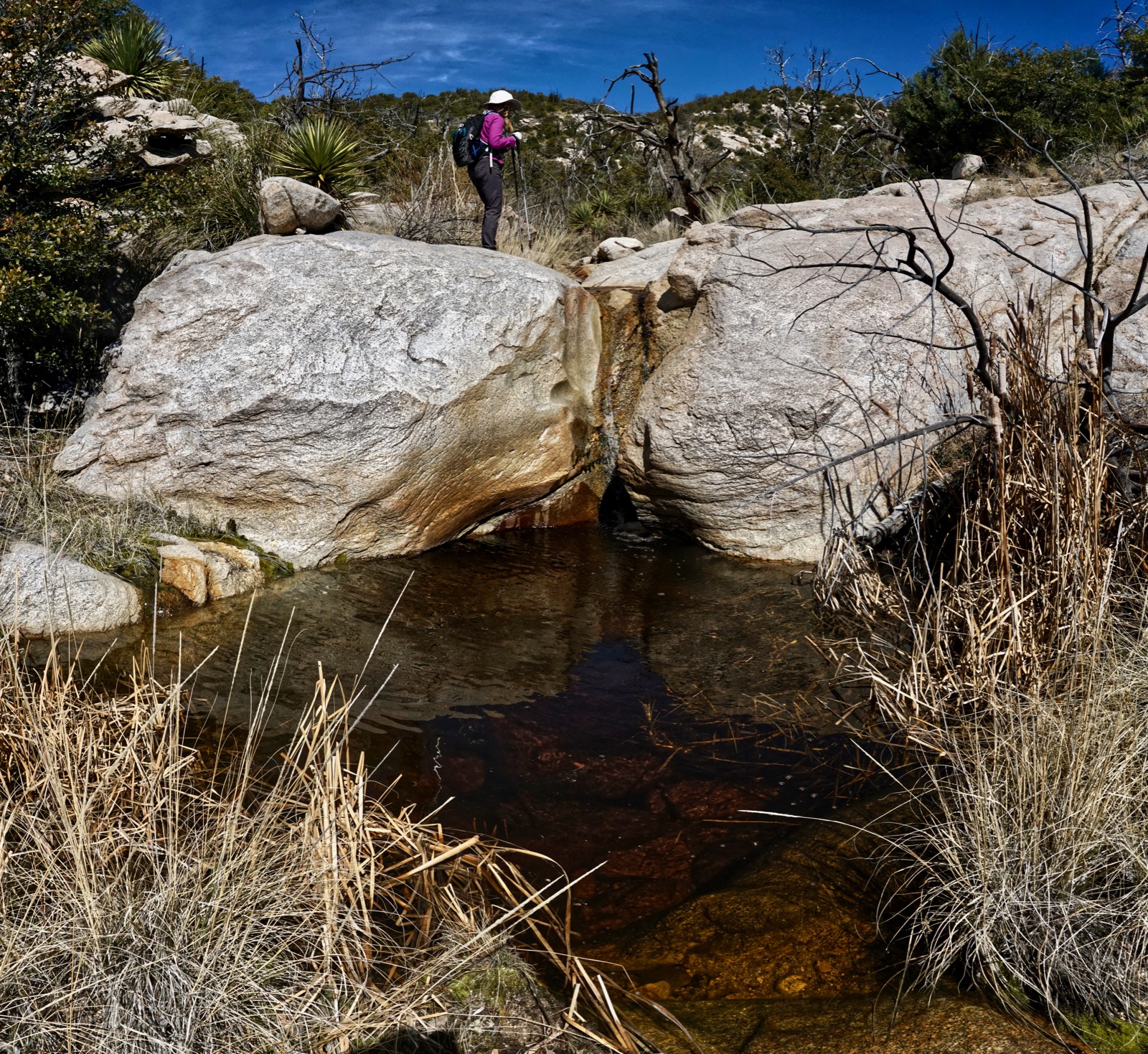 Earthline: The American West: Box Camp Trail, Pusch Ridge Wilderness