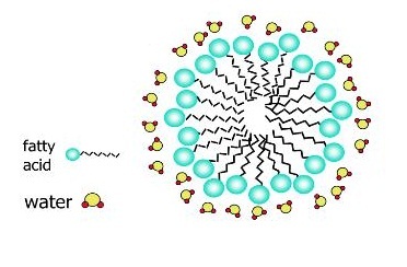 windu o windu: sains