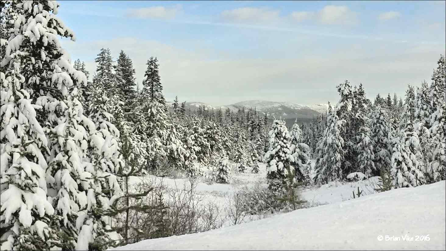 Northern Interior British Columbia: Winter's December 2015 Snowfall 4 ...