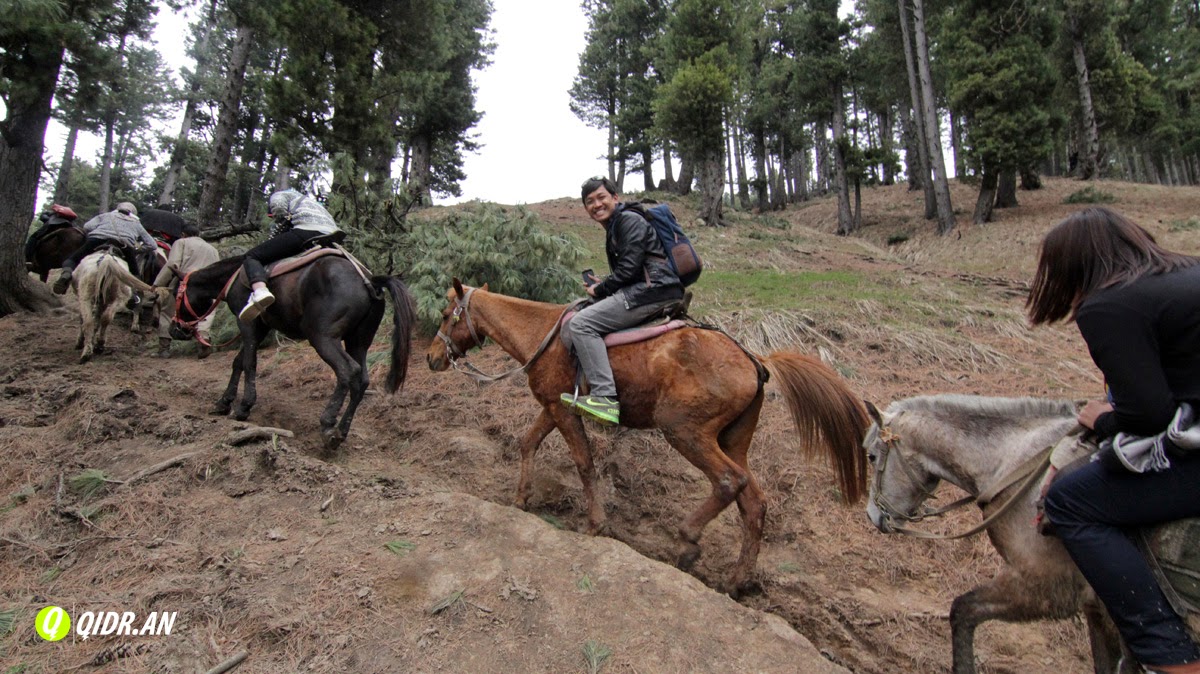 qidr.an ©: Kashmir 2014 | Day 3 Pahalgam : Pony ride