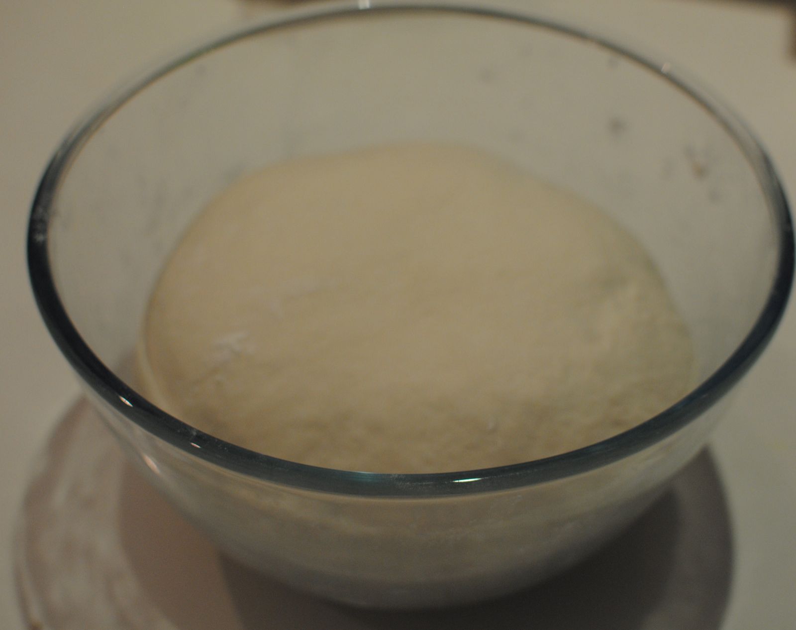 Richard Elliot's Blog: Project Sourdough: The sponge method