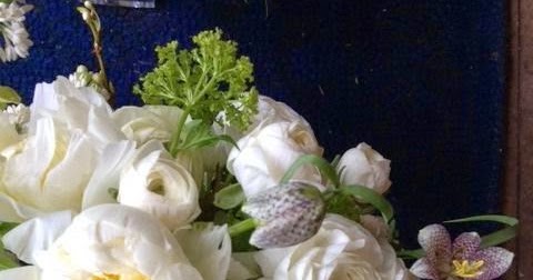 White Peonies Mums | Snaps