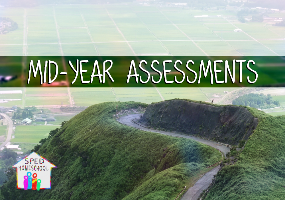 SPED Homeschool Mid Year Assessments SPED Homeschool Mid Year Assessments