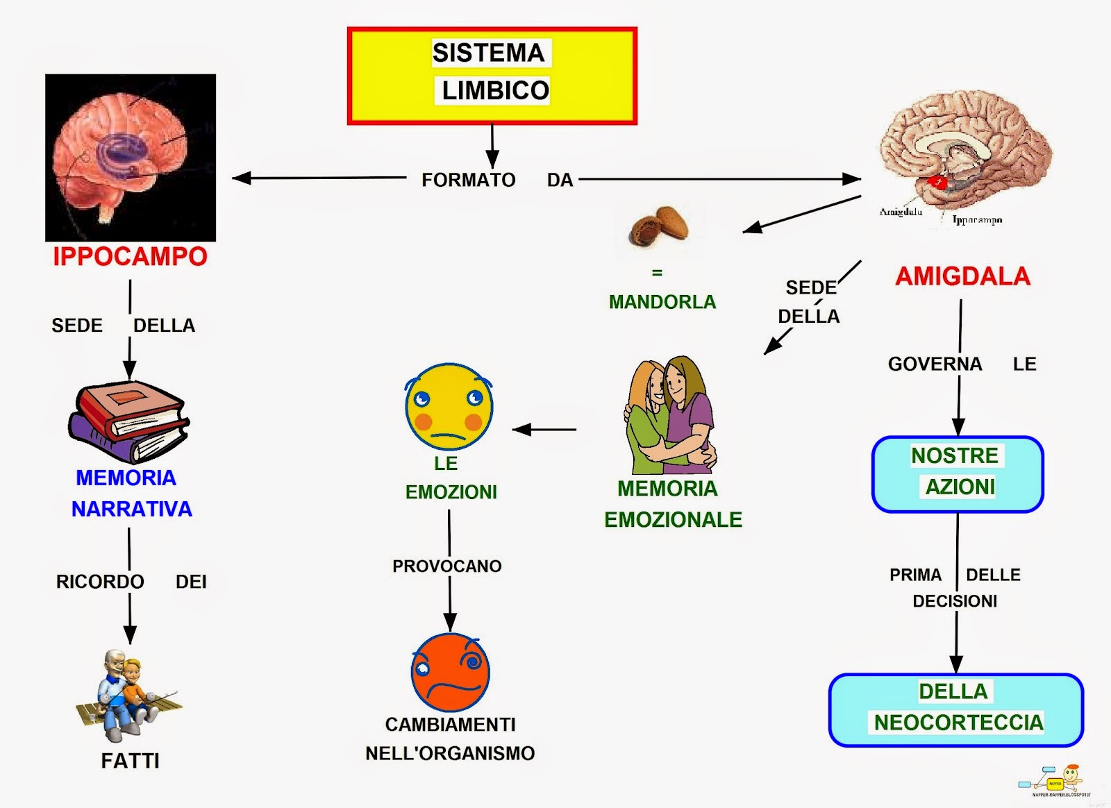 Mappa concettuale: sistema limbico • Scuolissima.com