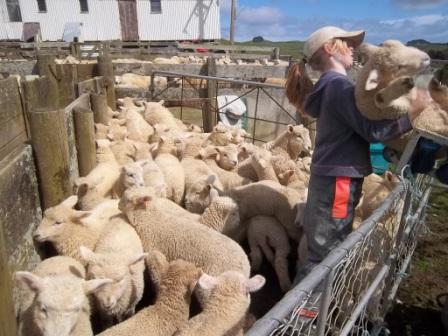 Burklee Farm: First day of docking