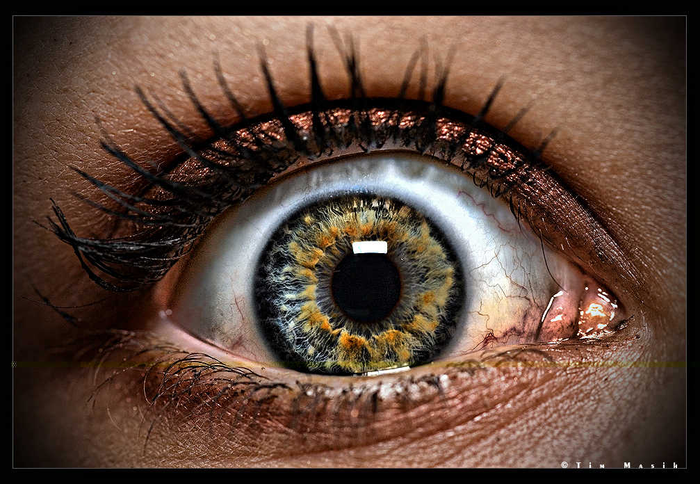 Amazing Facts about Human Eye | knowfacts