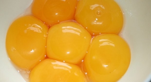 7 Manfaat Sehat Konsumsi Kuning Telur - Hari Hari Sehat Bersama