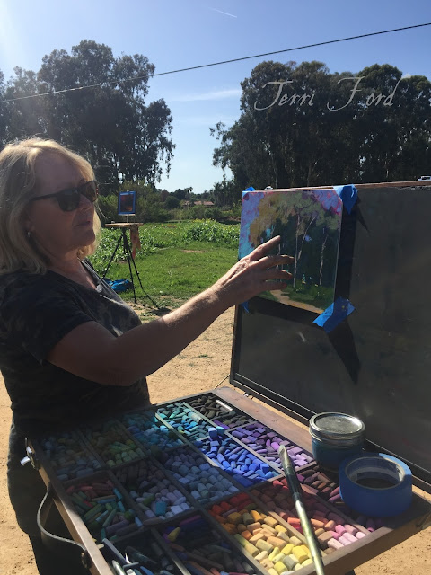 Cobalt Violet: Terri Ford Pastel Workshop and Ojai Preserve Painting in ...