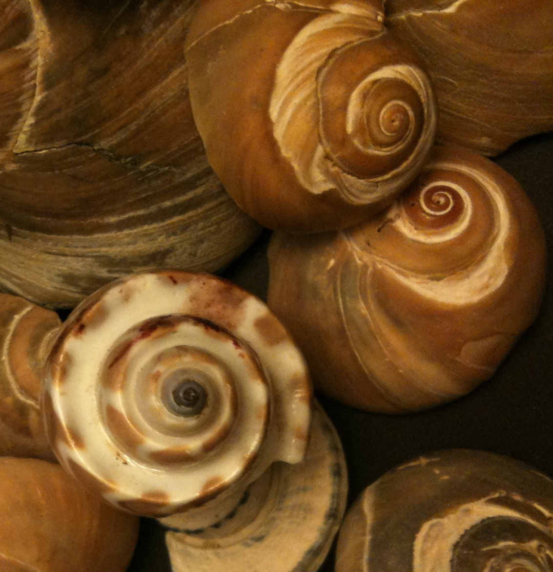 The Helpful Art Teacher: Rhythmic Line Designs And Patterns