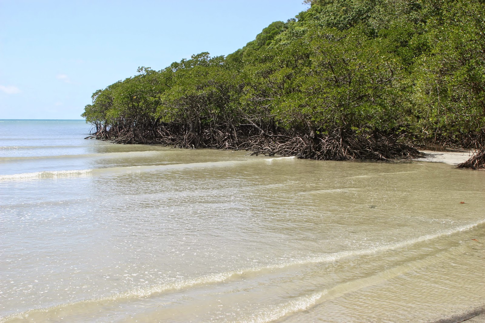 Ray and Maura Travelling Australia: Mareeba to Wonga Beach