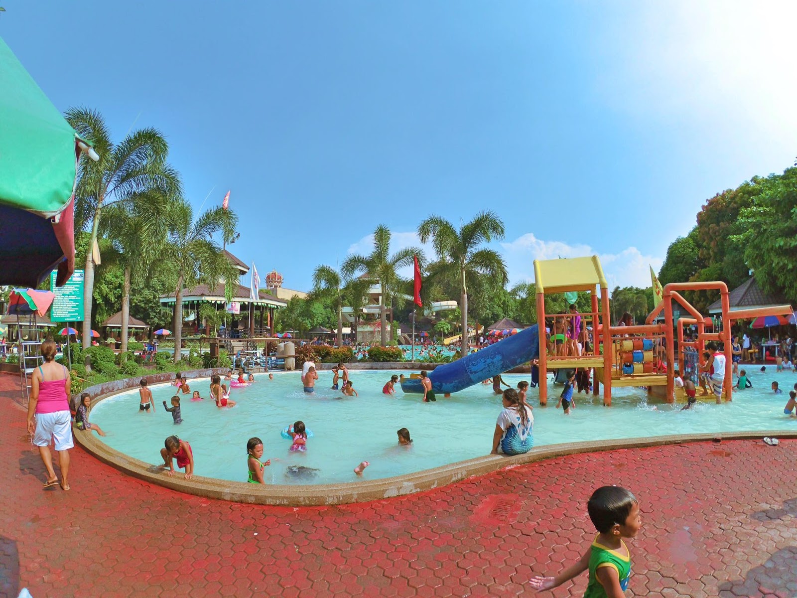 PASIG: Rainforest Adventure Experience (RAVE)