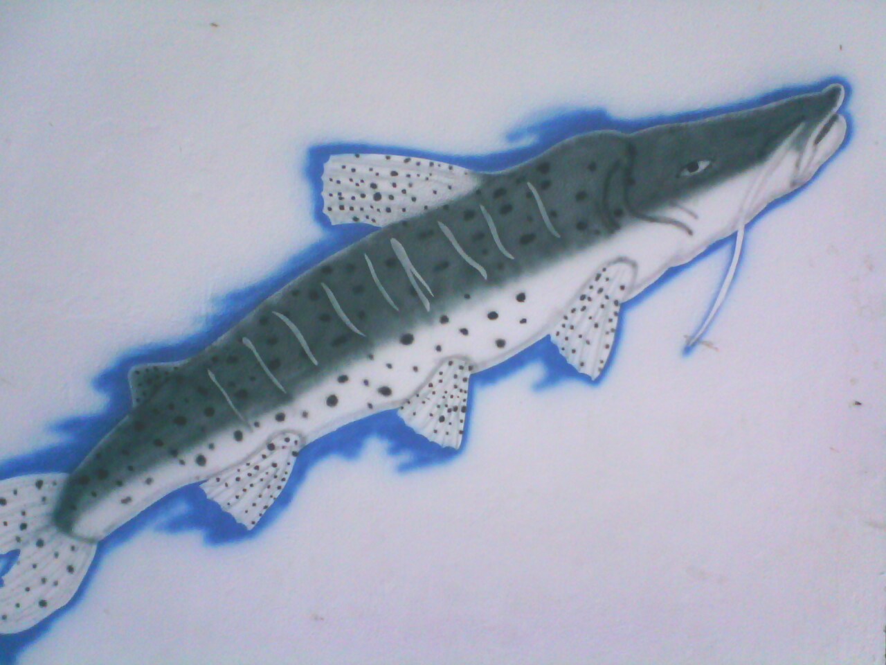 Pintarte vgg: Aerografias Pintarte VGG(pagina principal)