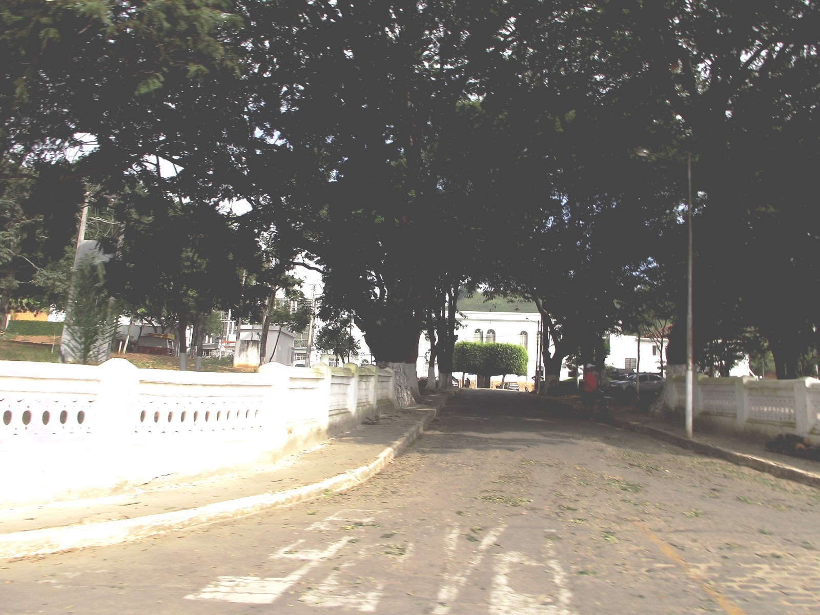 TURISTANDO PELO MUNDO: Visconde do Rio Branco, Minas Gerais - Na serra ...