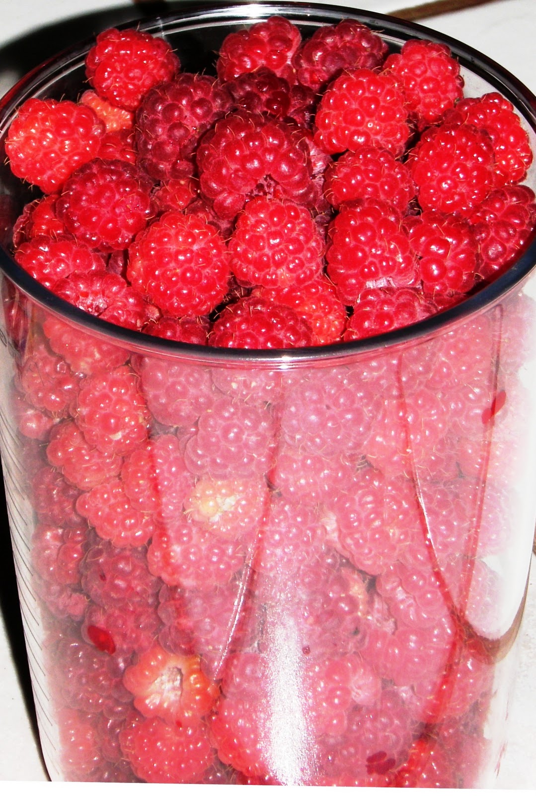 Sandra's Alaska Photography: Plants-Berries-Trees