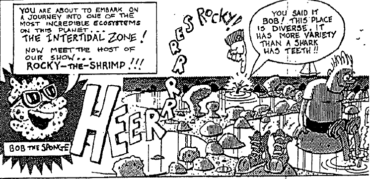 NickALive!: ‘SpongeBob SquarePants’ Creator Stephen Hillenburg Dies at 57