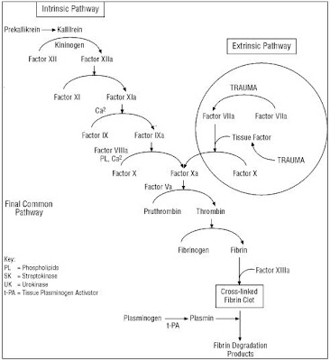 Interesting cases and happenings during Residency
