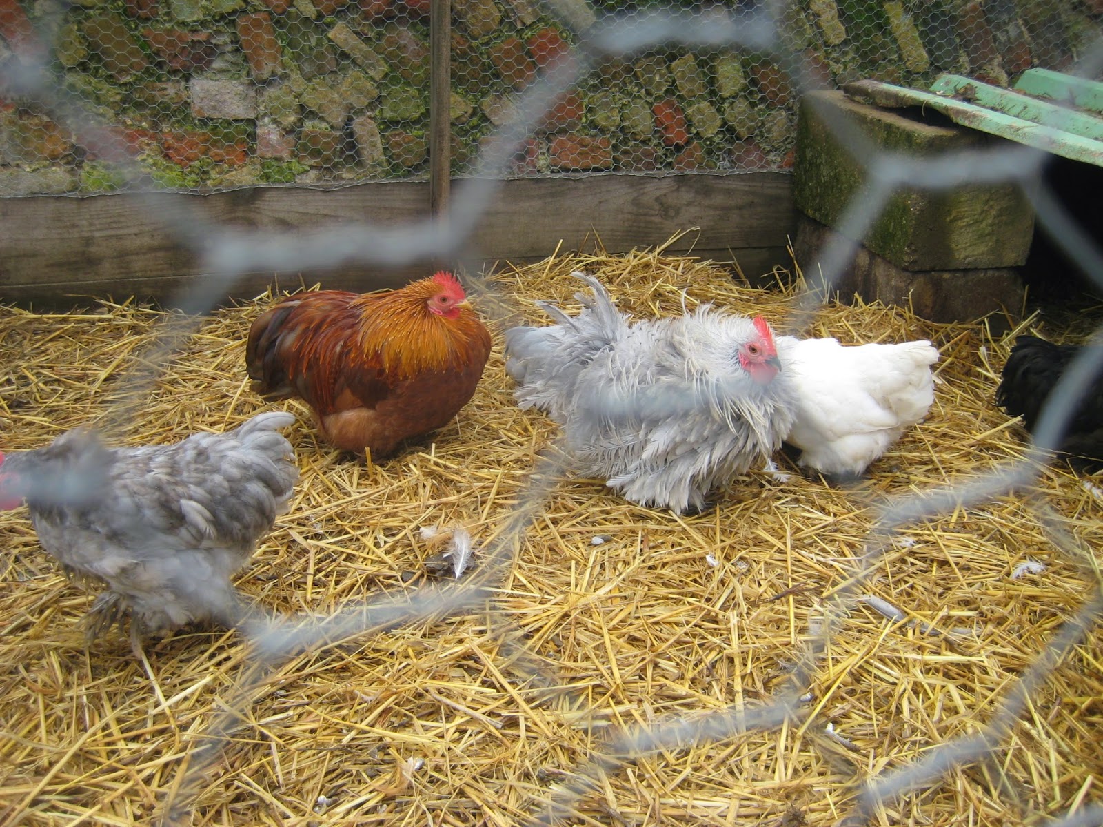 Tales of the March Hare: Hall Farm, Stratford St Mary, Dedham, Colchester