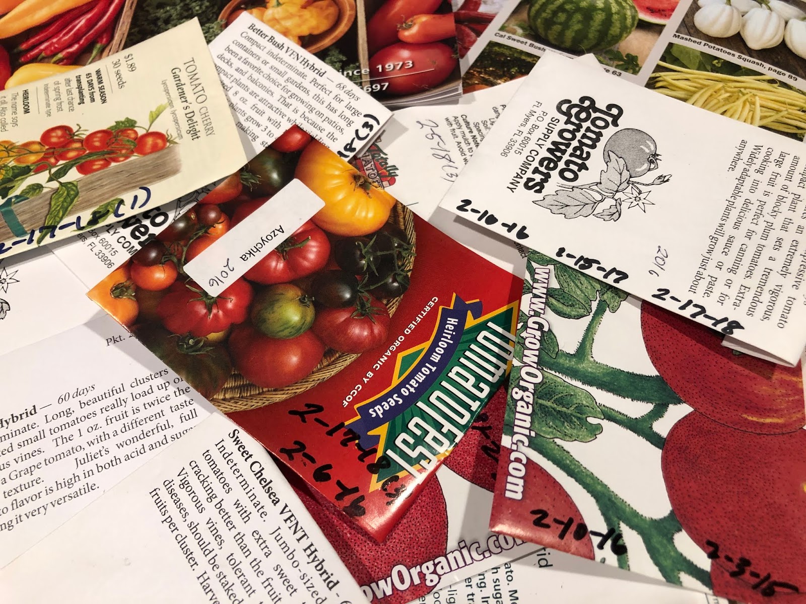 When to start summer seeds indoors? A reassessment