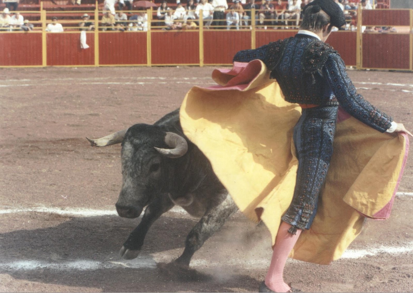 Toreros Mexicanos: CESAR GUTIERREZ