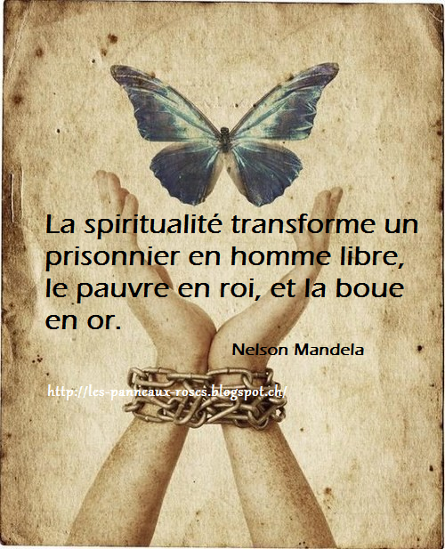 Les Panneaux Roses De Josette Sauthier Citation De Nelson Mandela Sur