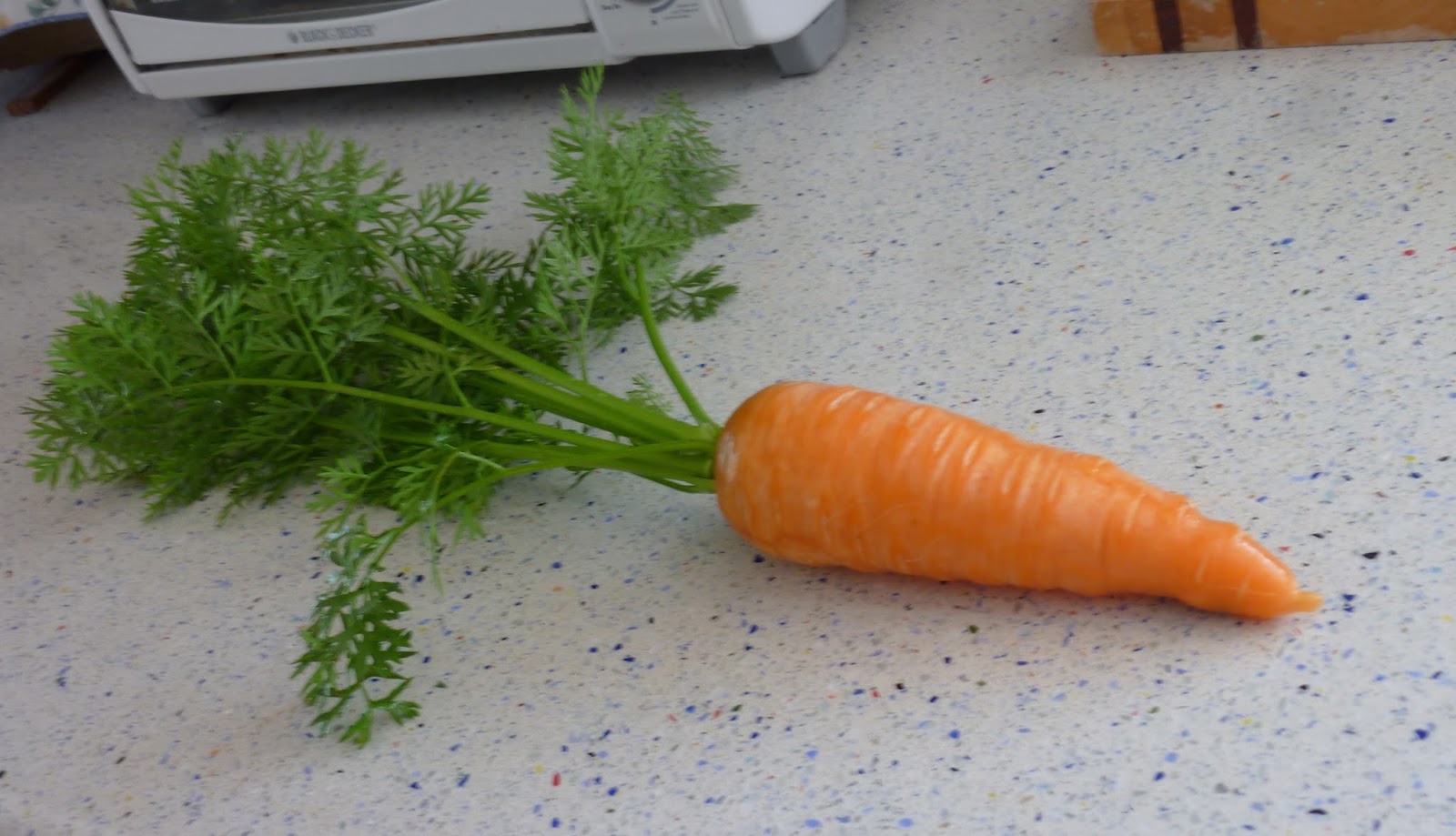 The Yellow Apron: The Most Beautiful Carrot