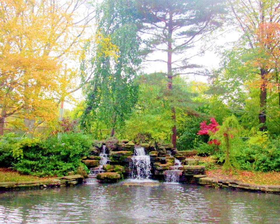 Seth Saith: Saturated Nature - A Photo Gallery