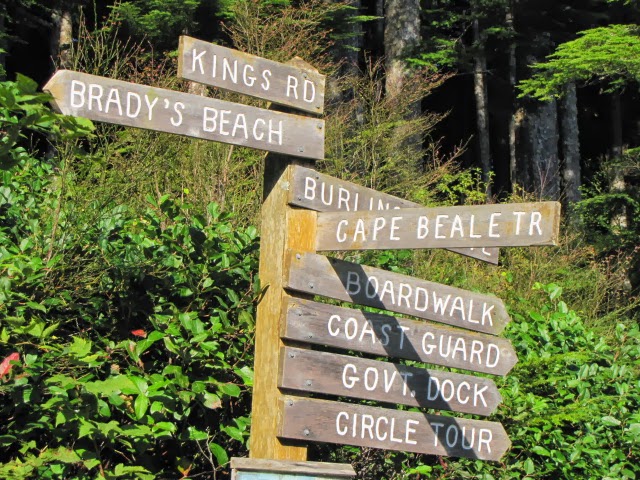 Millennium Dragon: A Day on Vancouver Islands West Coast - Travelling ...